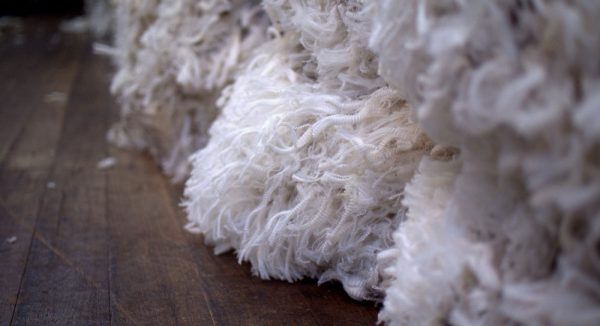 Aussie Wool Exports – Wool Brokers in Adelaide SA